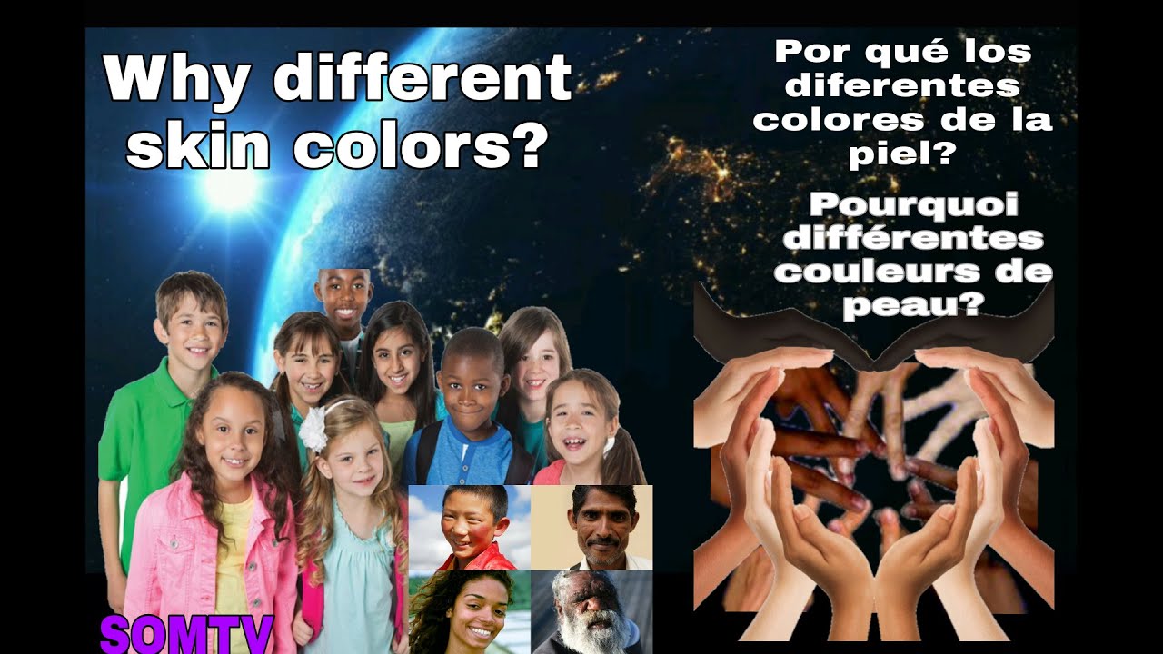 Pourquoi les gens ont-ils différentes couleurs de peau? why do people ...