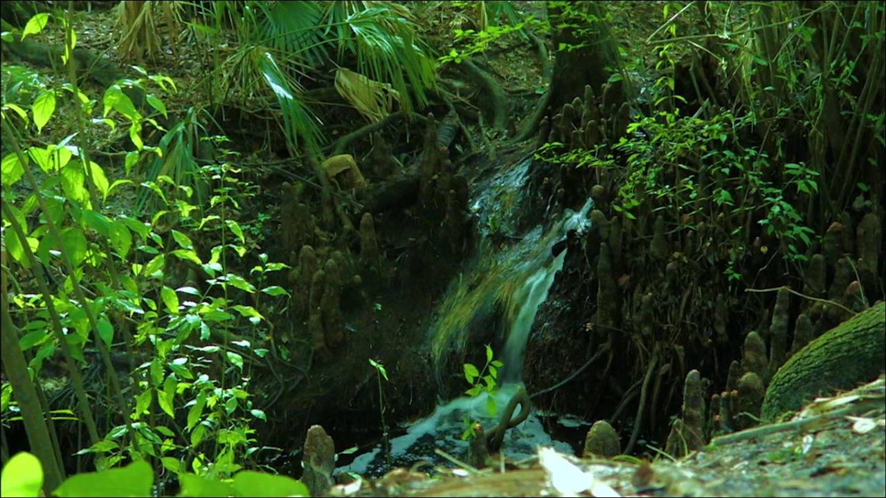 Boonie Falls, Oviedo, FL - YouTube