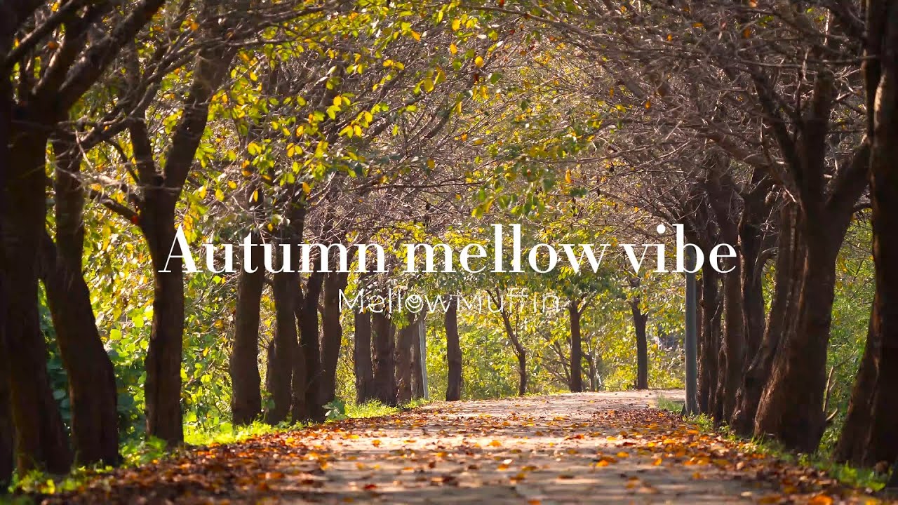 Autumn mellow vibe outdoor relaxing piano for Studying, Reading ...