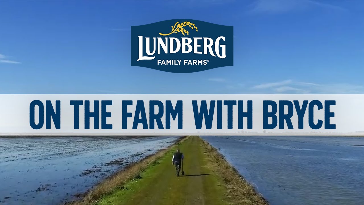 On The Farm with Bryce Lundberg - YouTube