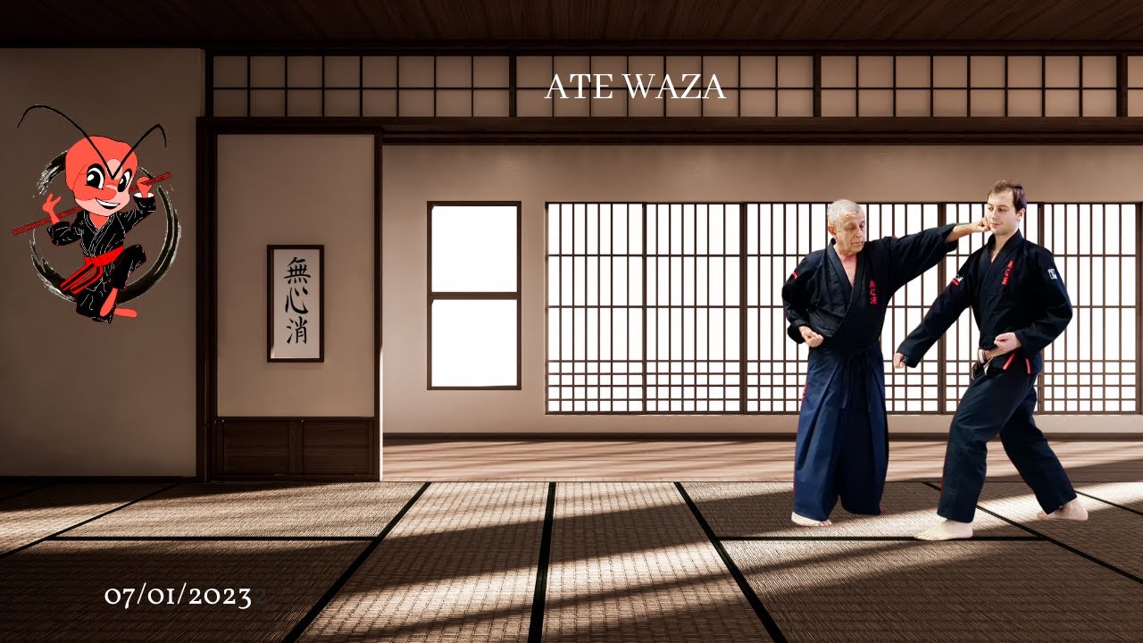 Mushin ryu ju jutsu, ju jitsu japonais techniques ate waza. - YouTube