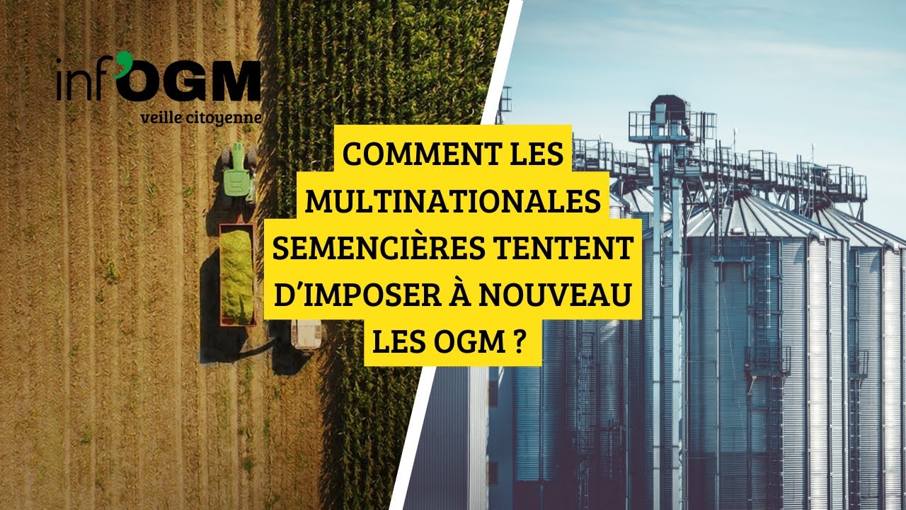 Comment les multinationales semencières tentent d'imposer à nouveau les ...