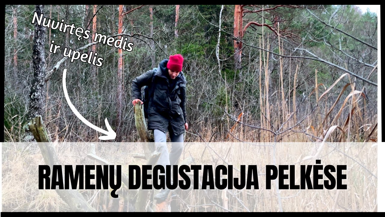 Nuotykiai Gamtoje: Ateivių Medžioklė, Chaga Grybas ir Makaronų Piknikas ...