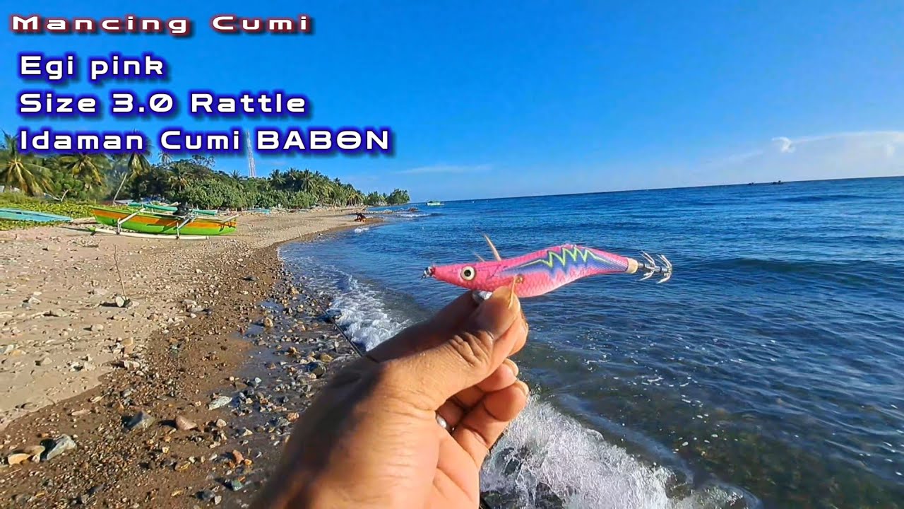 Egi sampai dasar pasti di sambar cumi Babon || Mancing cumi di pinggiran pantai sore hari - YouTube