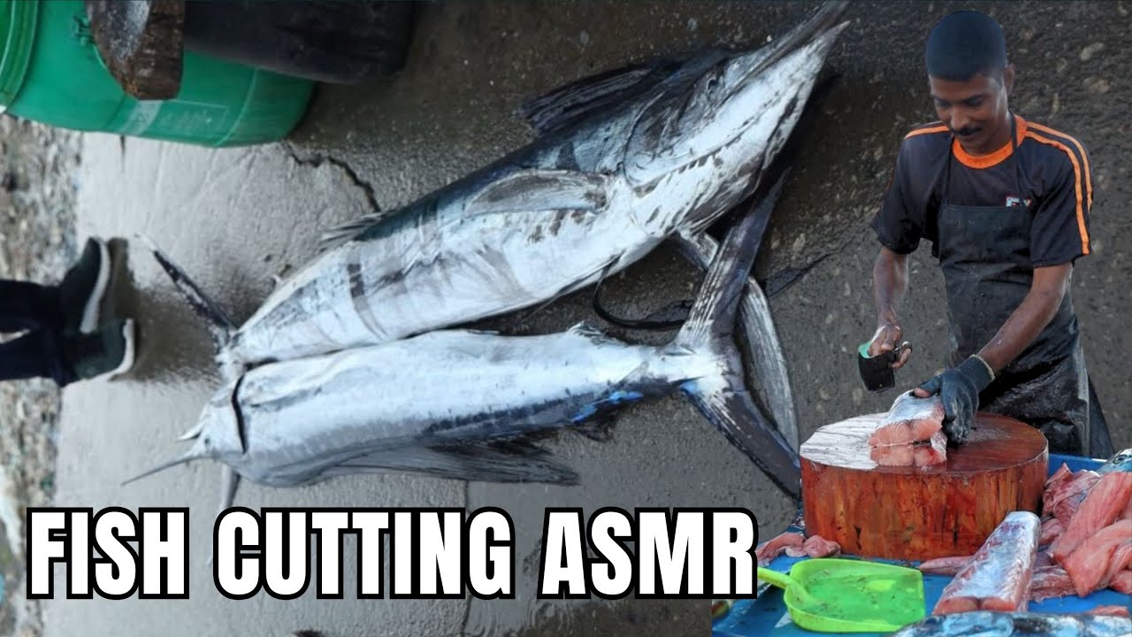 FISH CUTTING ASMR | GIANT SAIL FISH | FISH CUTTING SKILLS - YouTube