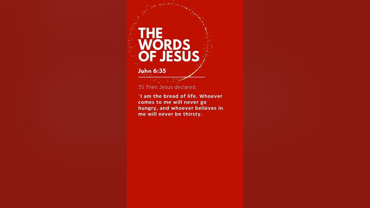 John 6 35 Jesuslovesyou JesusKing awesomeGod LambofGod saviorKing john-6-35-jesuslovesyou-jesusking-awesomegod-lambofgod-saviorking