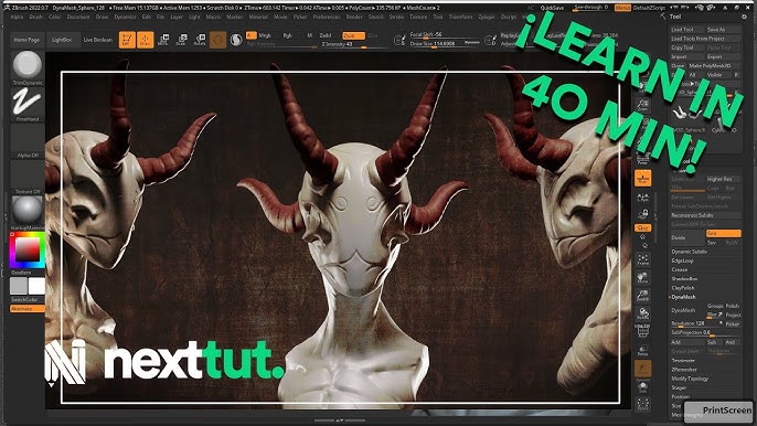 Zbrush Tutorial Beginner