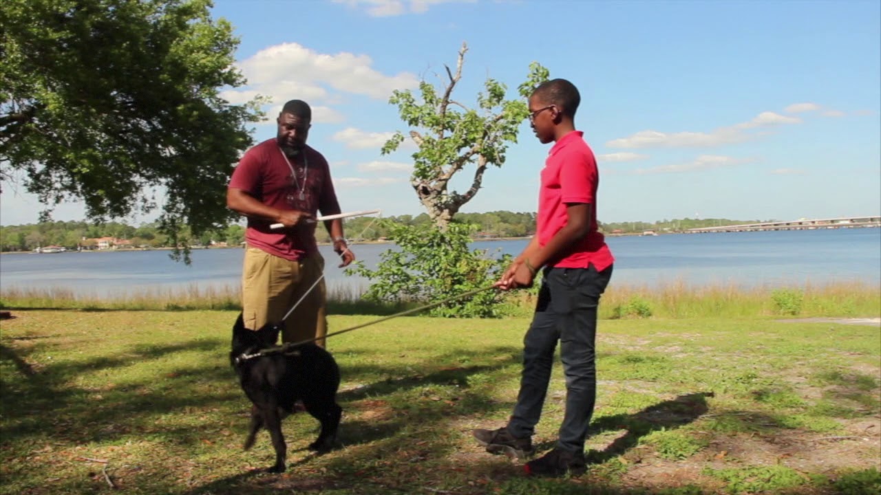 HOW TO BUILD PUPPY PREY DRIVE - YouTube