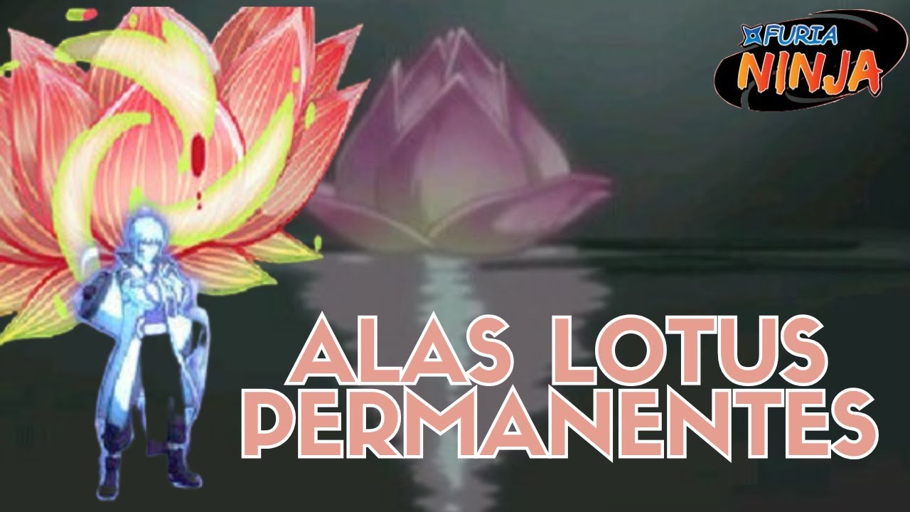 Un video que nadie pidió pero que mas da| Lotus Permanentes | Furia ...