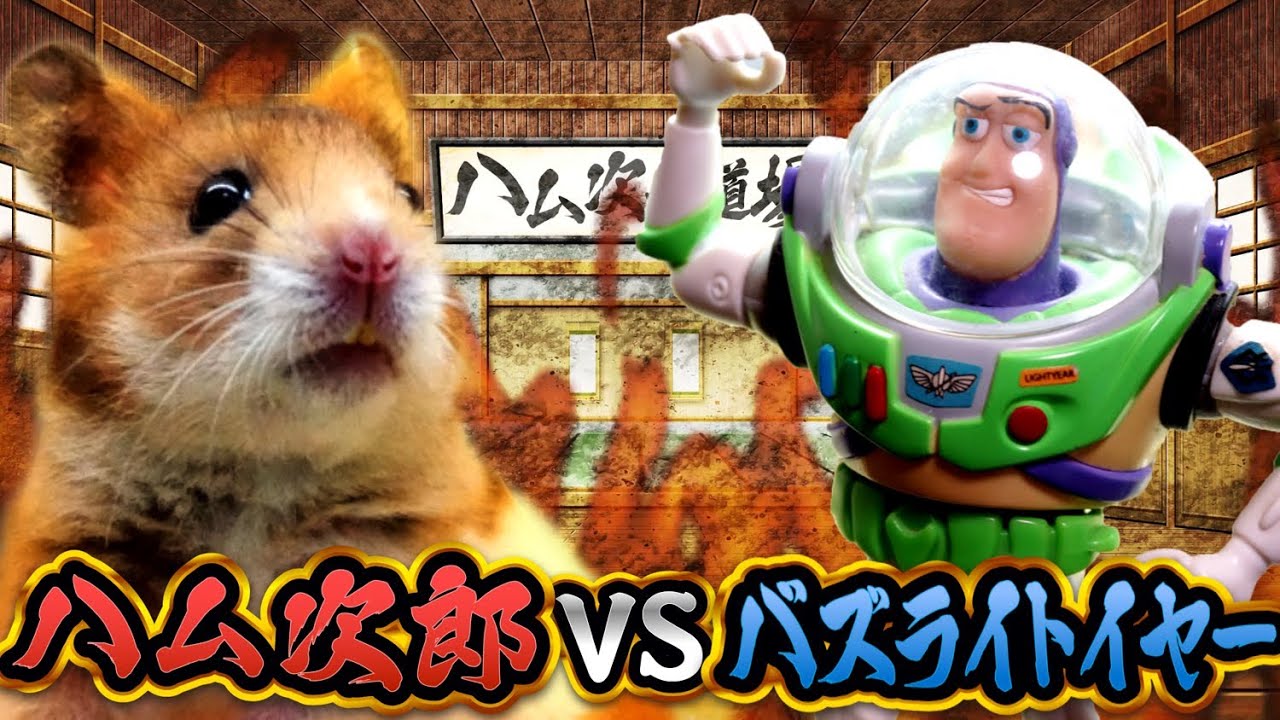 バズライトイヤー VS ハム次郎 / Buzz Lightyear VS Ham Jiro - YouTube