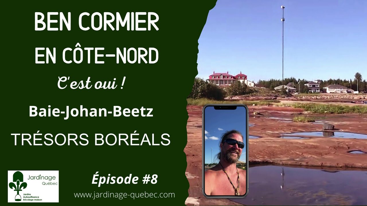 BEN CORMIER EN CÔTE-NORD ÉPISODE 8 - PLANTES SAUVAGES AU PARC DE BAIE ...