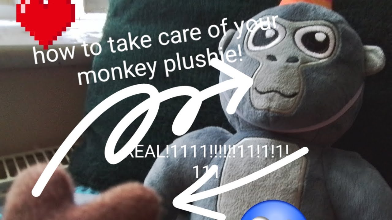 how to take care of your monkey plushie - YouTube