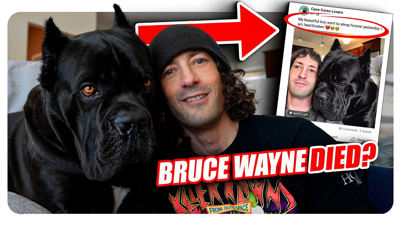 Did Bruce Wayne Die? The Truth Behind What Happened - YouTube