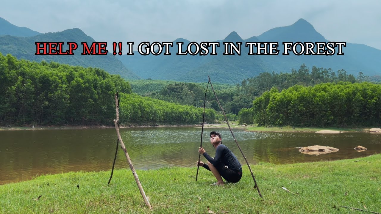 HELP ME !!! - I Got Lost In The Forest | LinC - Peaceful Life ( P1 ...
