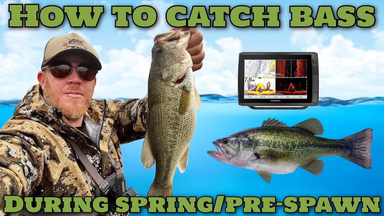 How to catch BASS in early Spring - Pre Spawn Bass Fishing Tips - YouTube
