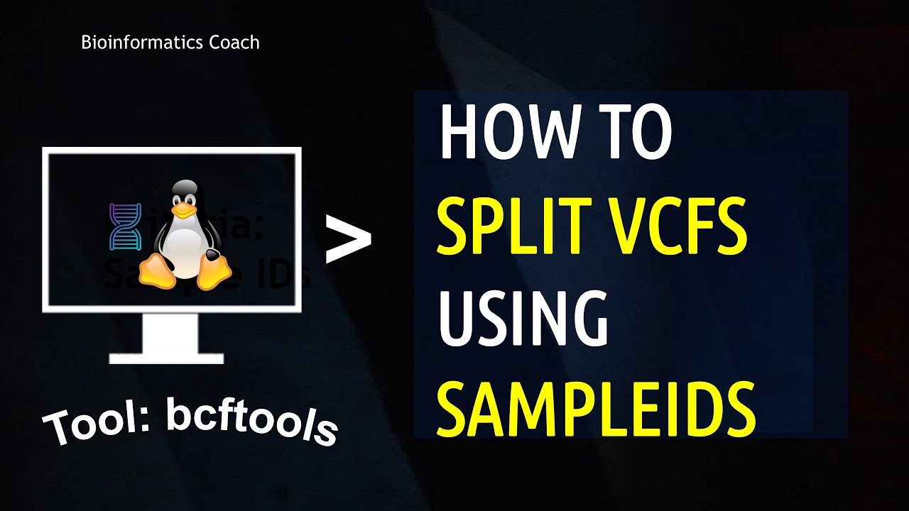 Bcftools Tutorial For Splitting Vcfs Based On Sample Ids Bcftools 8664