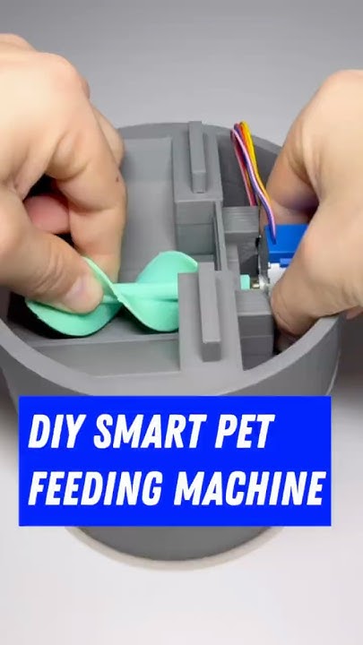 WiFi connected 3D Printed Smart Pet Feeding Machine for your Favourite ...