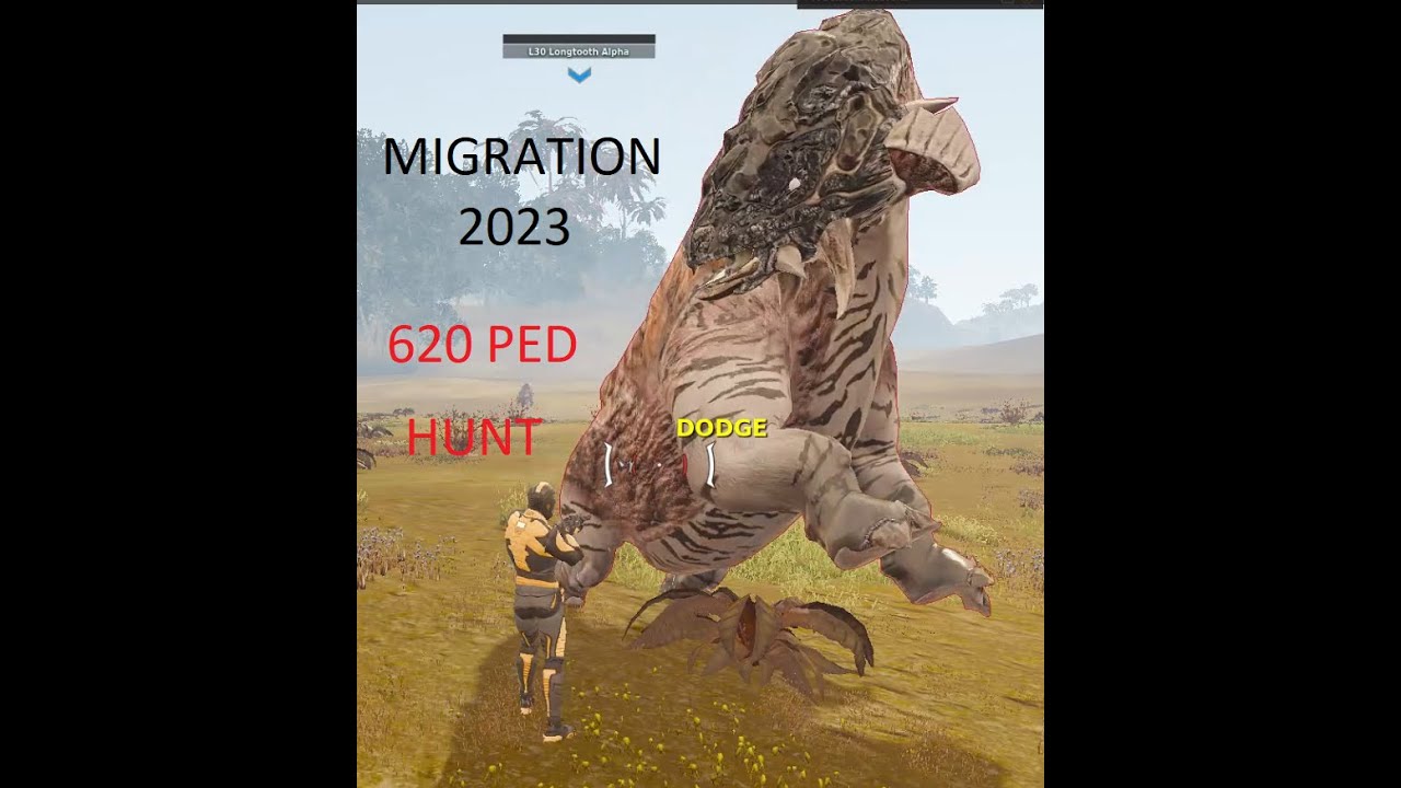MIGRATION 620 PED HUNT - PLANET CALYPSO - ENTROPIA UNIVERSE! - YouTube