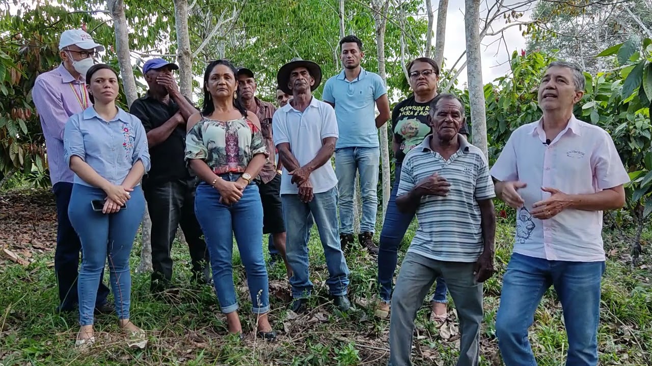 Lideres e Produtores de Cacau Visitam Área Alta Produtividade no ...