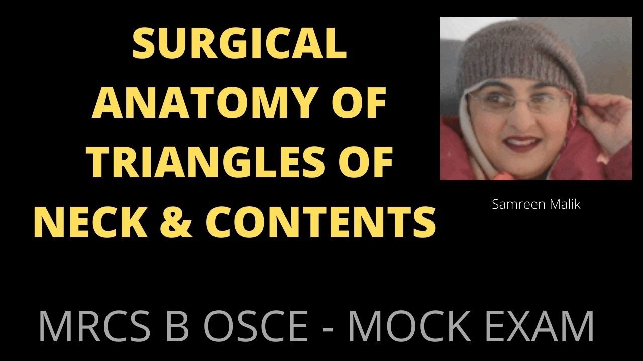 SURGICAL ANATOMY OF TRIANGLES OF NECK & CONTENTS - YouTube