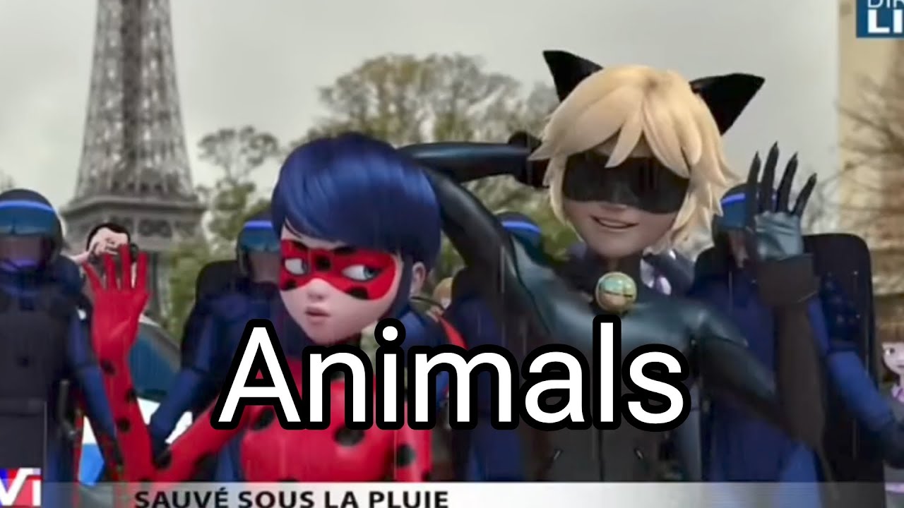 Miraculous Ladybug ️🖤💚 [AMV] Animals Maroon 5 - YouTube