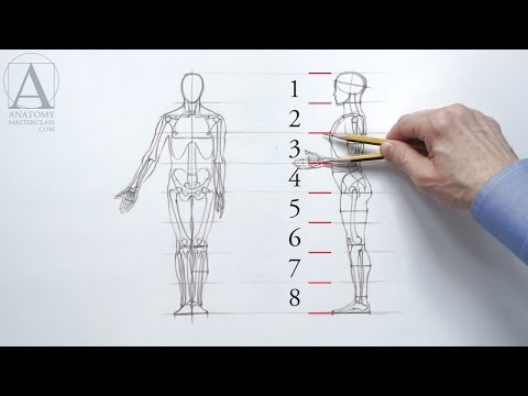 Human Figure Proportions - Anatomy Master Class