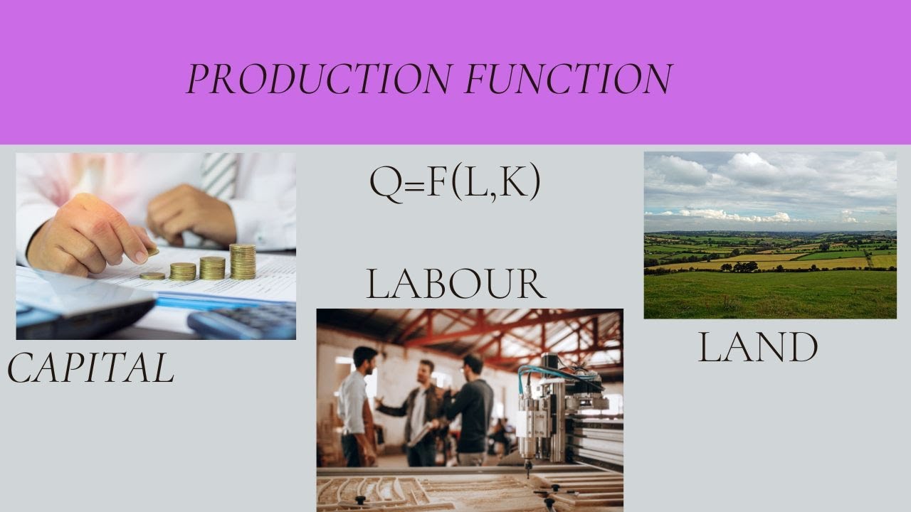 #11, Production| Short-run production| Long-run production - YouTube