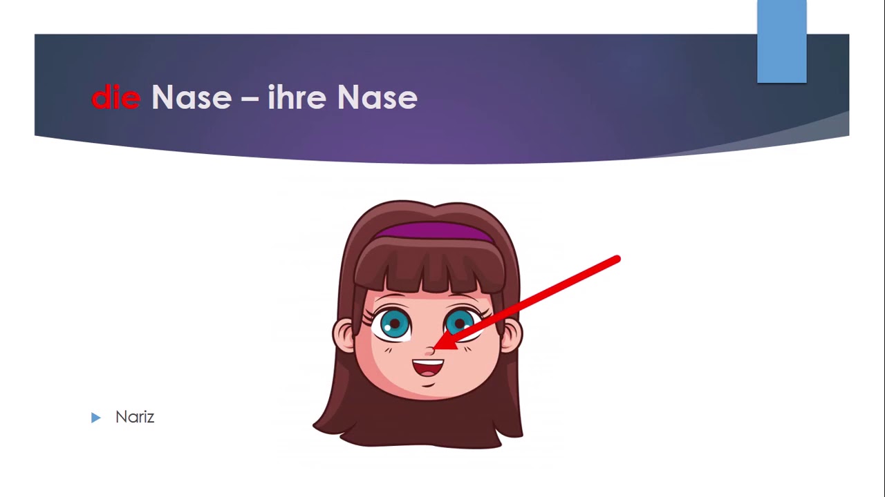 Sein seine ihr oder ihre - YouTube