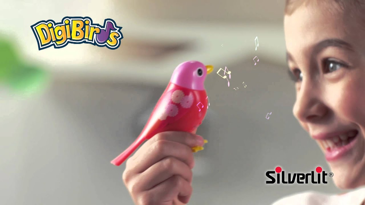 DigiBirds TV Commercial - French - YouTube