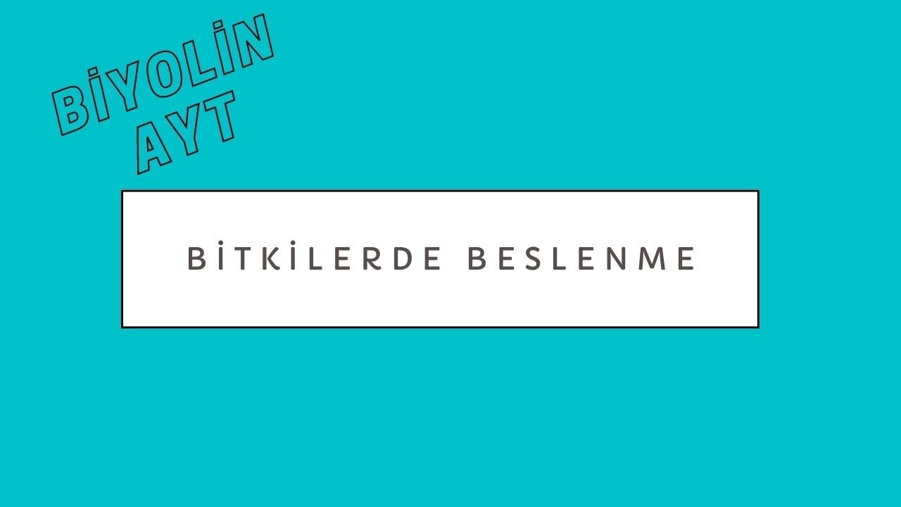 Bitkilerde Beslenme (12. Sınıf) - YouTube