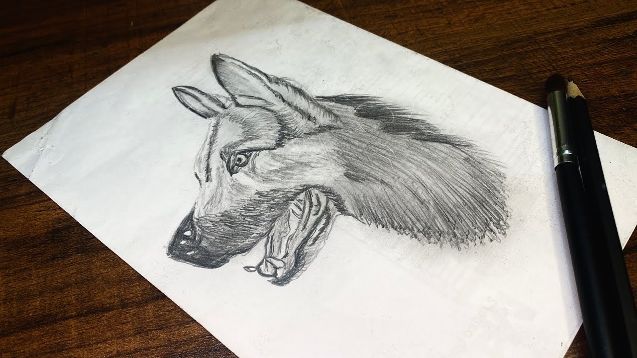 How to draw a dog 🐶 |realistic dog animal drawing tutorial - YouTube