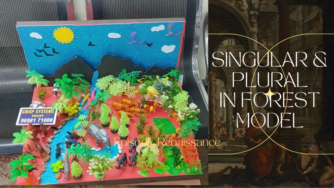 English Project Working Model | English grammar Project Singular and ...