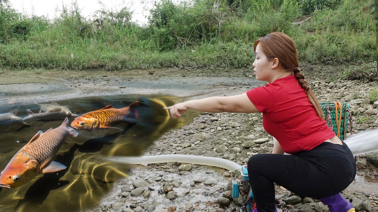 Fishing Technique, How To Catch Fish In The Wild, Survival Fishing ...