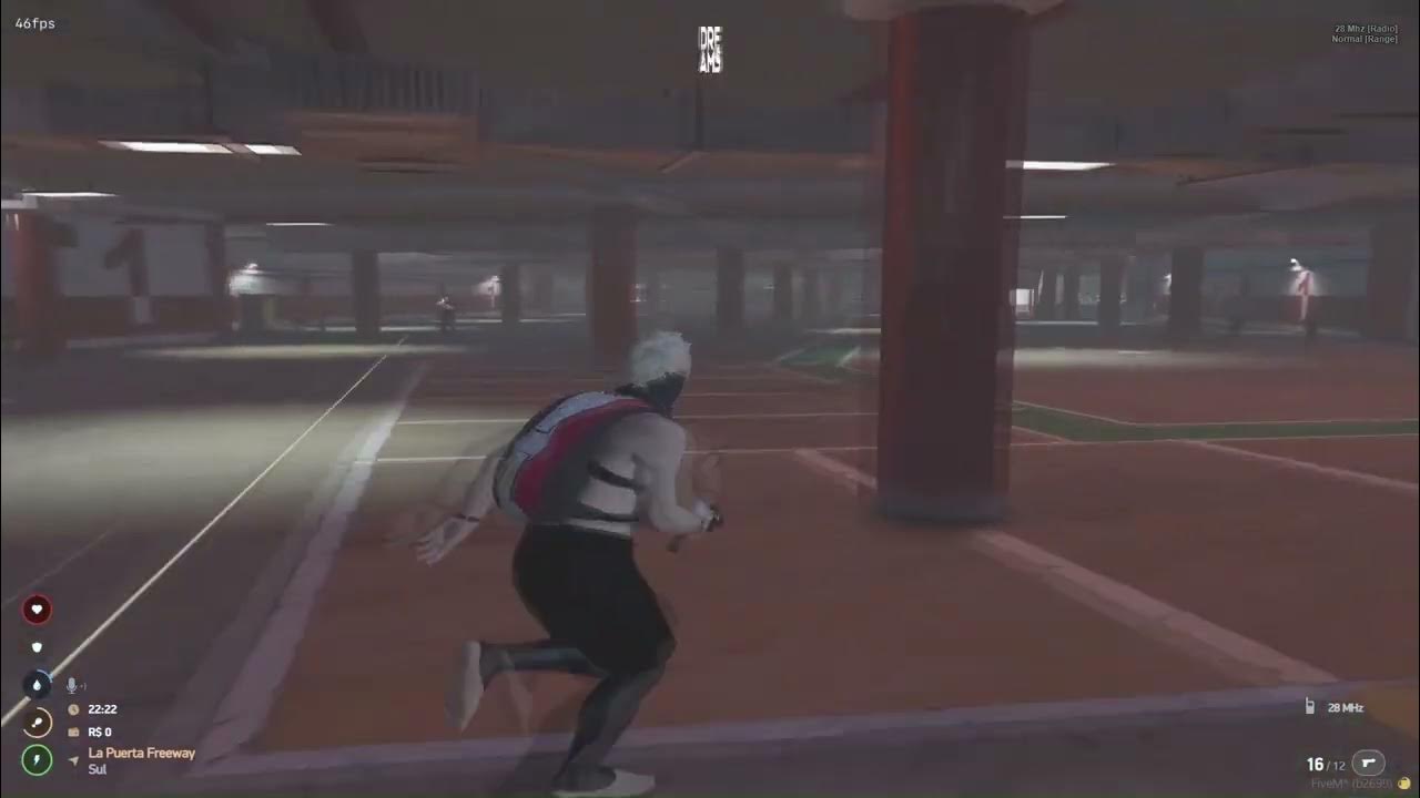 HIGHLIGHTS LOIRINHO VIN FIVEM - YouTube