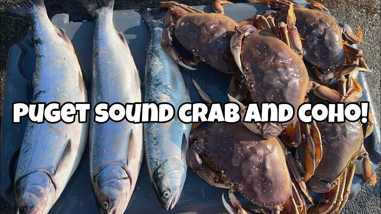 Puget sound Crabbing and coho! - YouTube