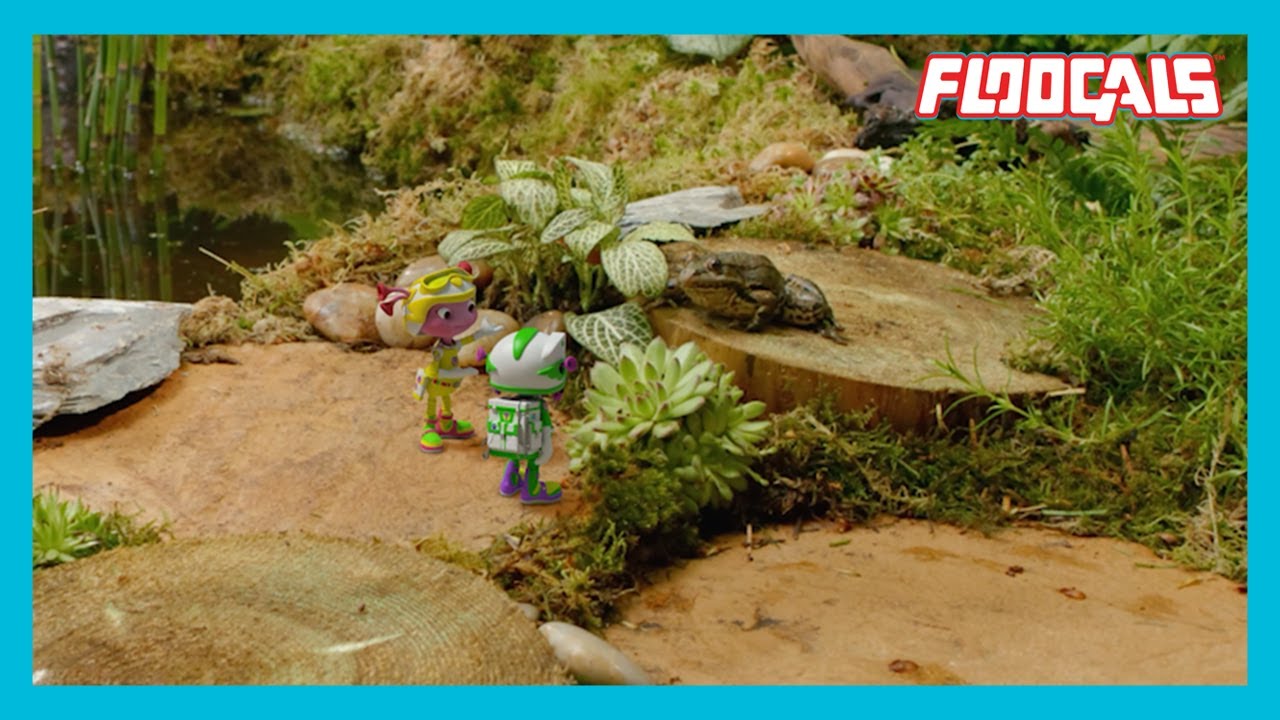 The Floogals New Frog Captain 🐸 | Floogals - YouTube