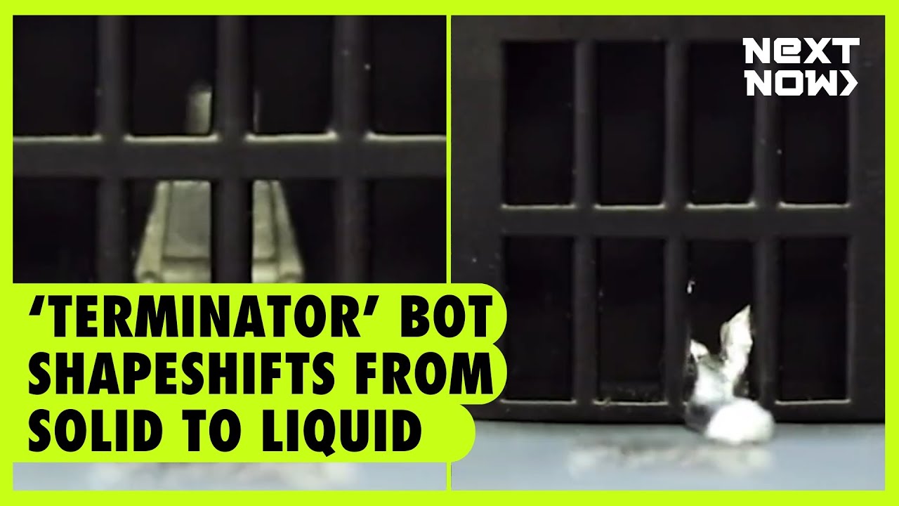 ‘Terminator’ bot shapeshifts from solid to liquid | NEXT NOW - YouTube