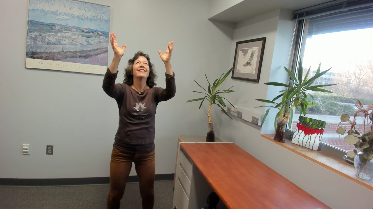 Calming Qigong: A Meditative Movement Practice for the Waxing Moon ...