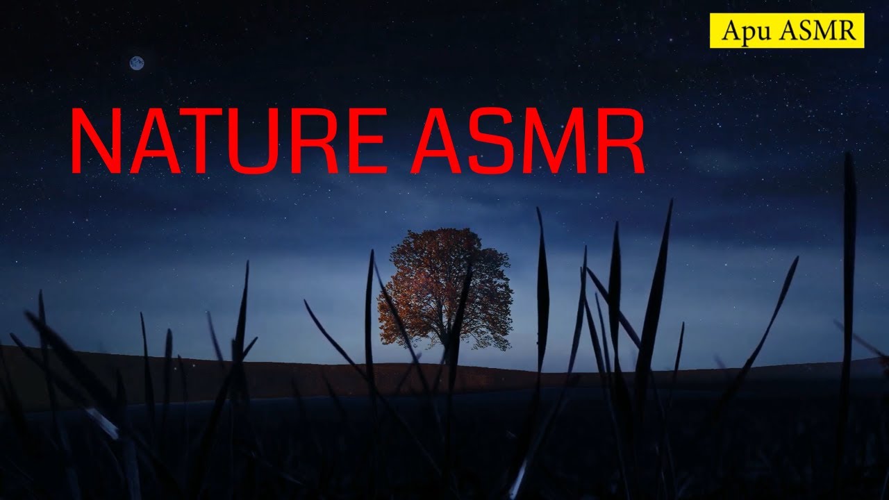 BEST NATURE ASMR - YouTube