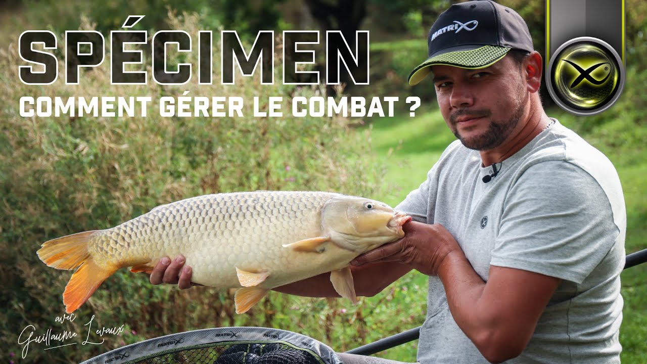 Spécimen : Comment gérer le combat? Pêche au coup - MATRIX FISHING TV # ...