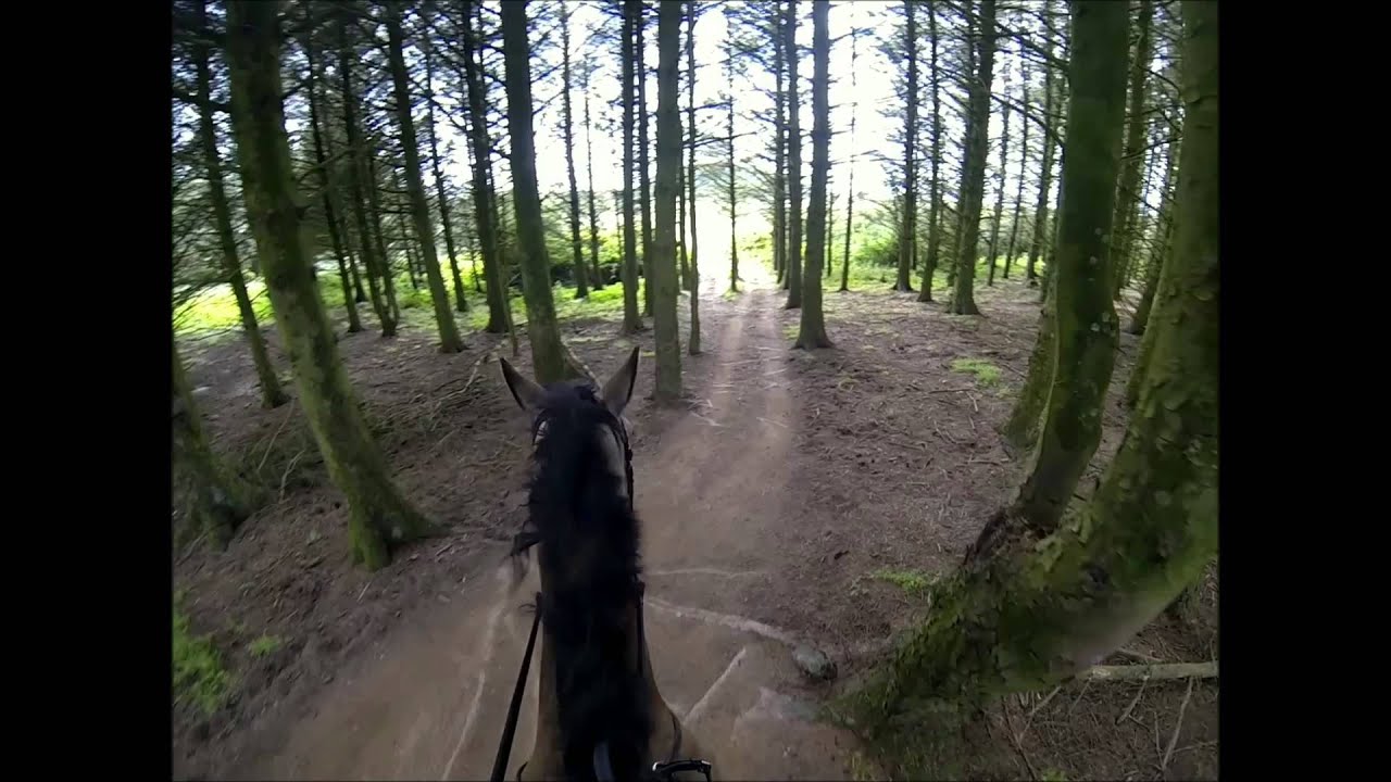 Horse riding at Mullacott Equestrian Centre 2nd Sept 2013 (1 of 3 ...