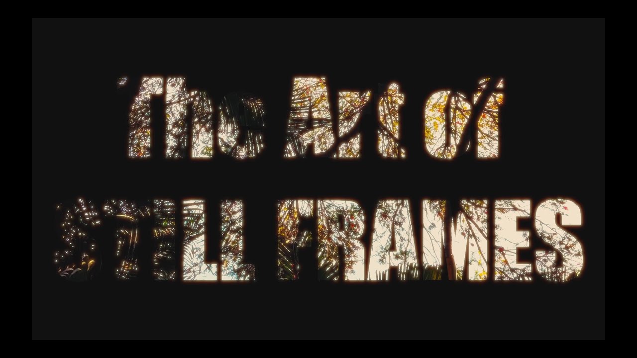 The Art of Still Frames | Shot on Hasselblad | Cinematography by ...