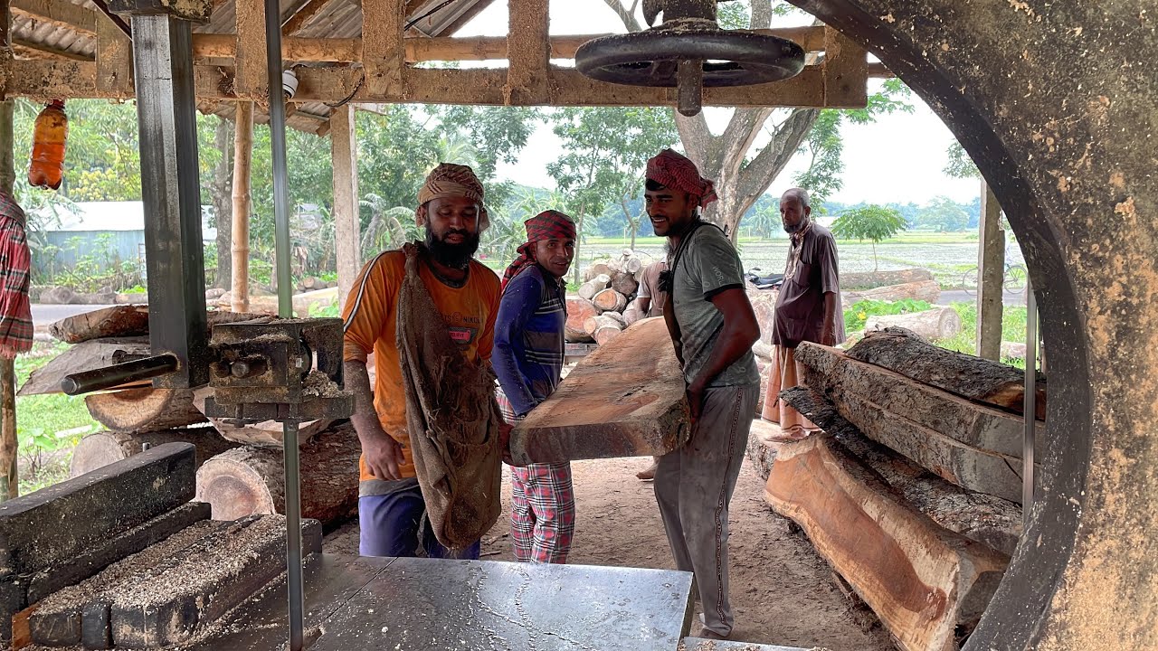 Teak Wood Amazing Cutting। Dangerous Way to Cutting Wood। How to Work ...