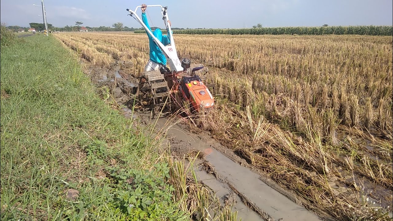 TRAKTOR SAWAH....!!! PROSES SINGKAL - YouTube