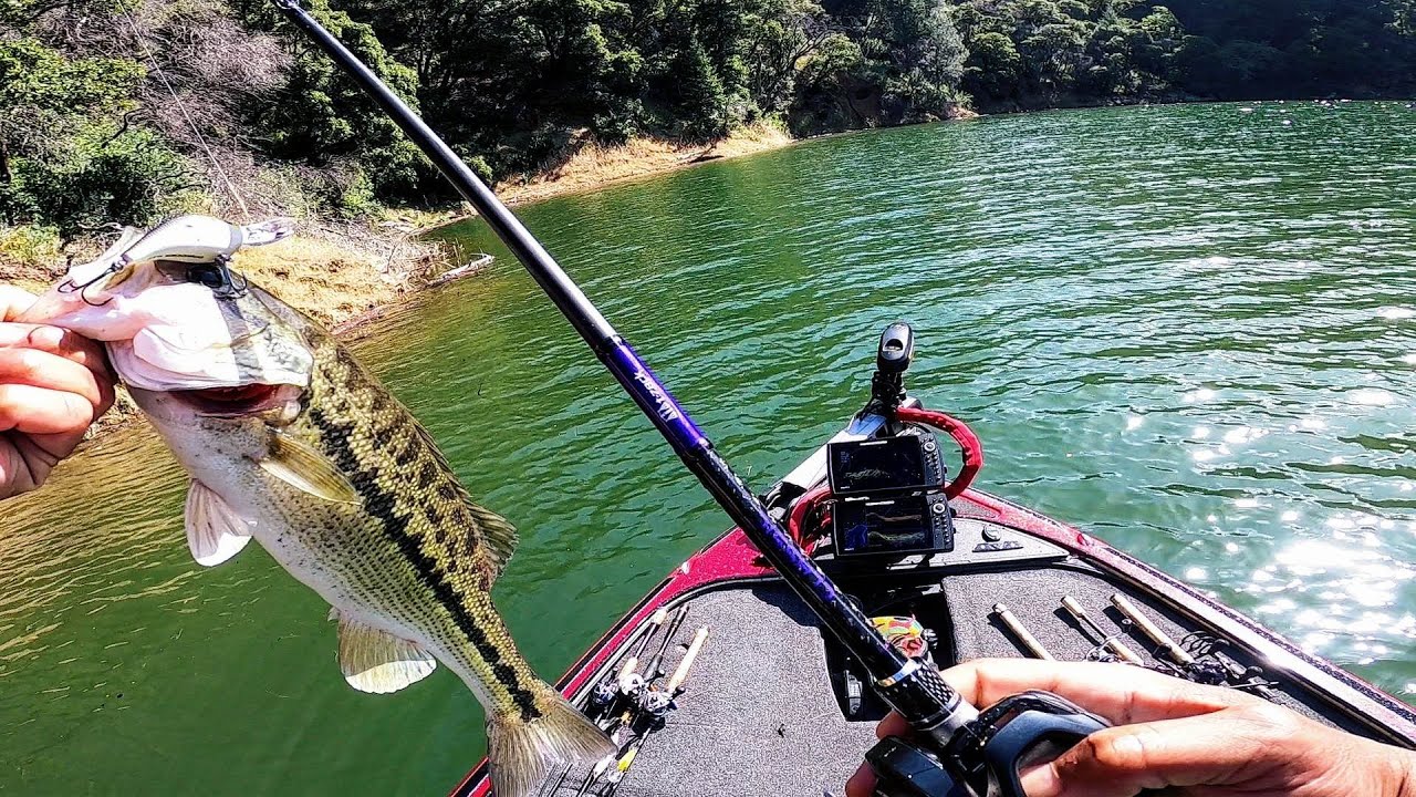 T-Zack Classic Crank Bait Rod Review - YouTube