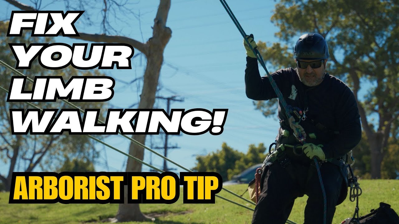 Arborist Limb Walking Pro Tip For Better Climbing - YouTube