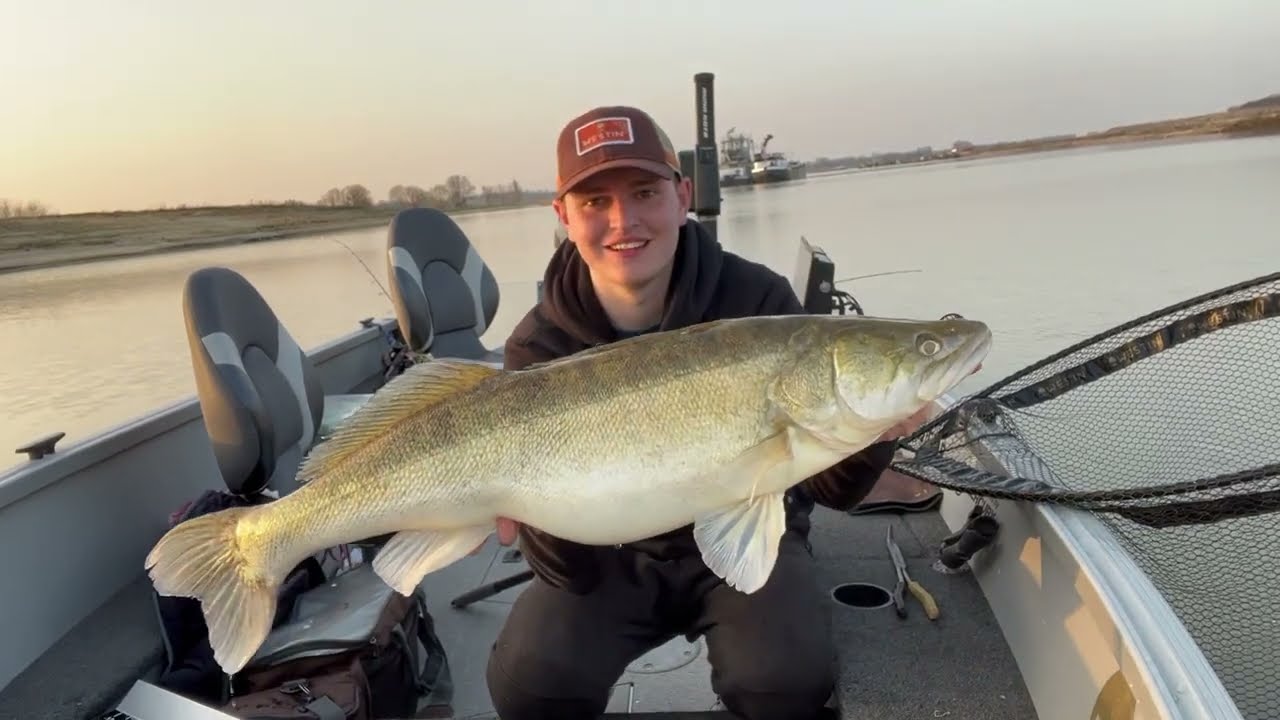Big zanders in the Netherlands - YouTube