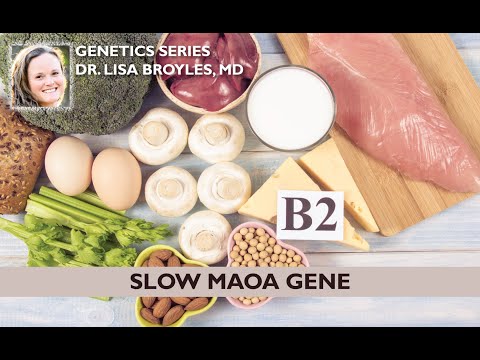 Genetics: Slow MAOA Gene