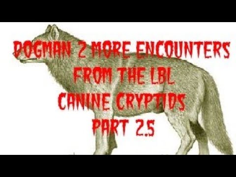 DOGMAN 2 MORE ENCOUNTERS FROM THE LBL, CANINE CRYPTIDS PART 2.5 - YouTube