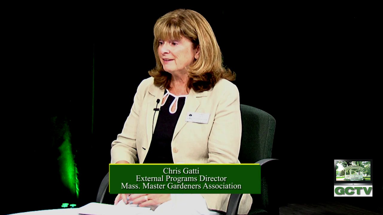 Minute by Minute Interview Chris Gatti - YouTube